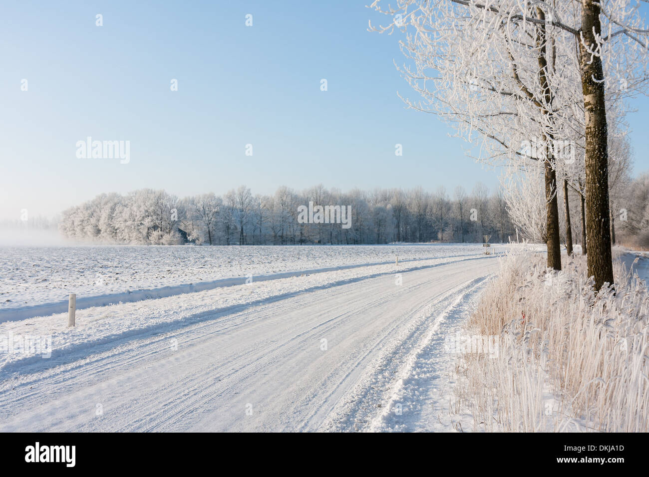 Dutch winter farmland covered with snow Stock Photo - Alamy
