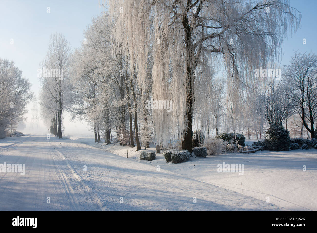 Dutch winter farmland covered with snow Stock Photo - Alamy