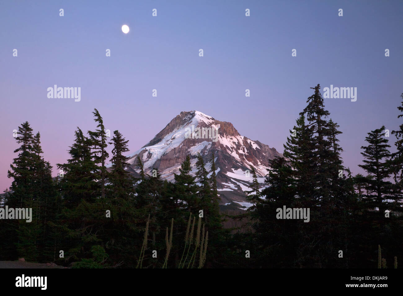 OREGON - Mount Hood at sunset in the Mount Hood National Forest Stock ...