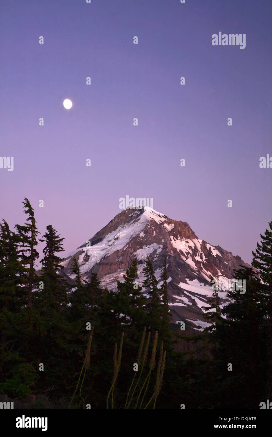 OREGON - Mount Hood at sunset in the Mount Hood National Forest Stock ...