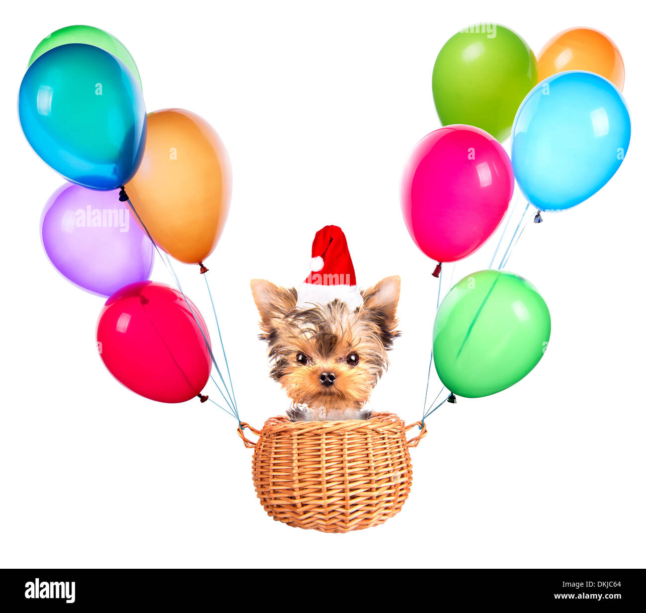 Dog flying balloon Cut Out Stock Images & Pictures - Alamy