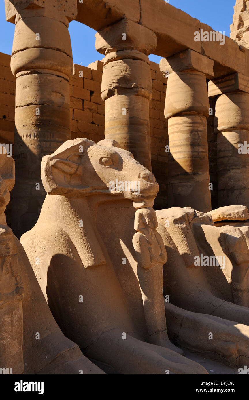 Ram-headed sphinx in Great Court - Karnak Temple, Luxor, Egypt Stock ...