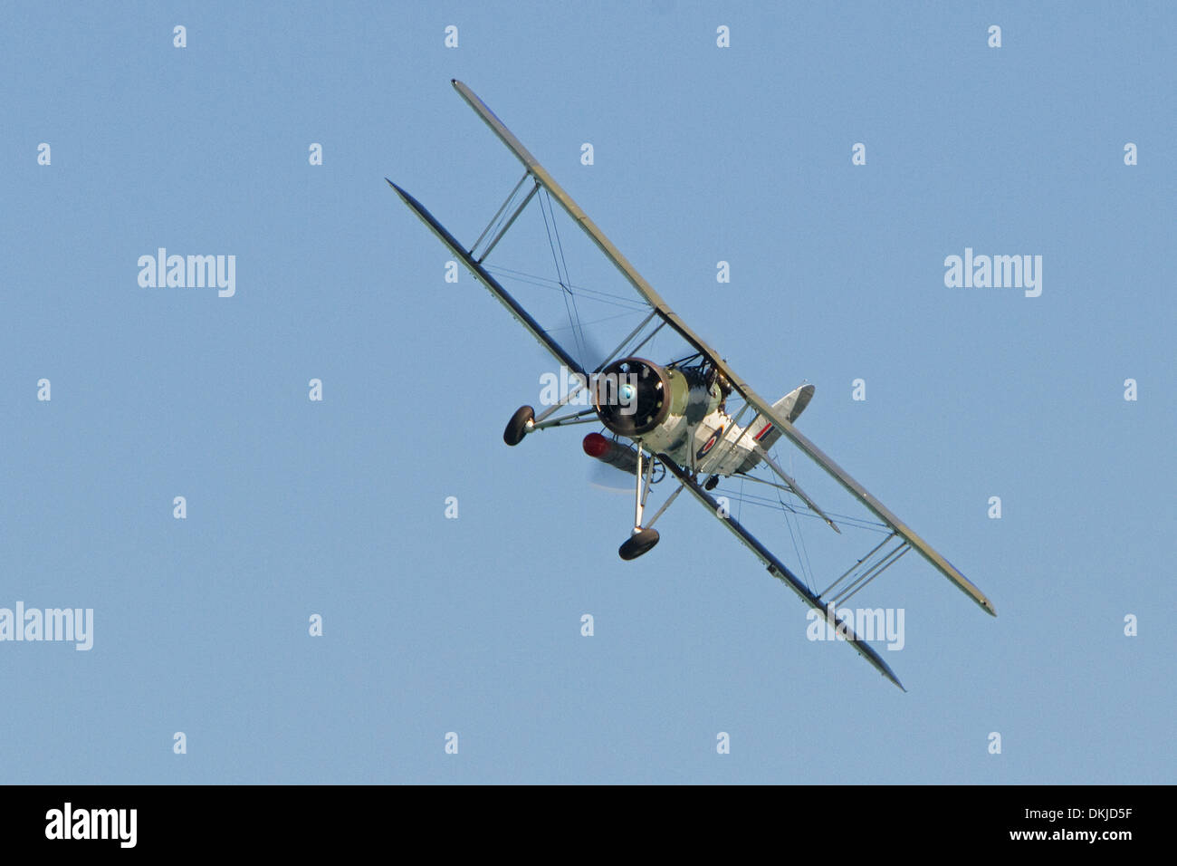 Swordfish flying hi-res stock photography and images - Alamy
