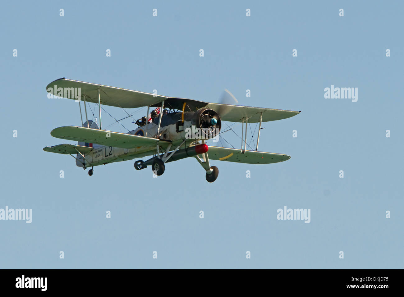 Swordfish flying hi-res stock photography and images - Alamy