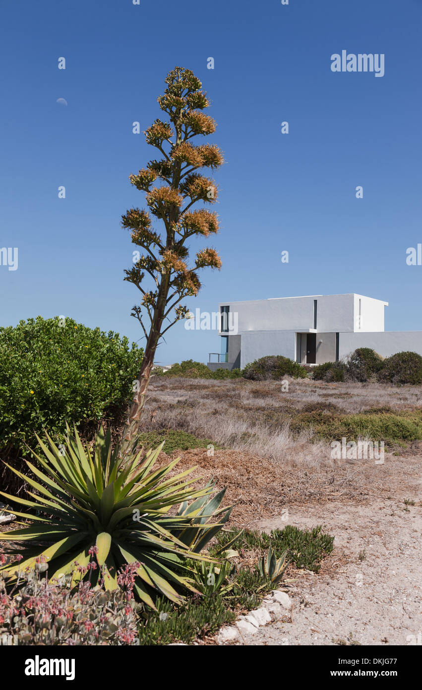 Plants growing in rural landscape Stock Photo - Alamy