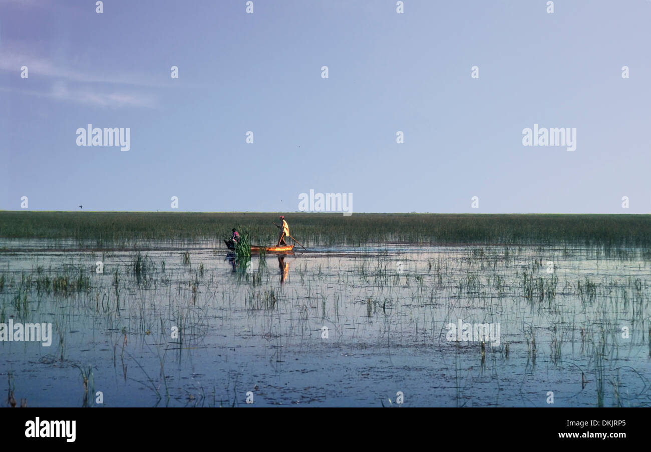 Reeds boat hi-res stock photography and images - Alamy