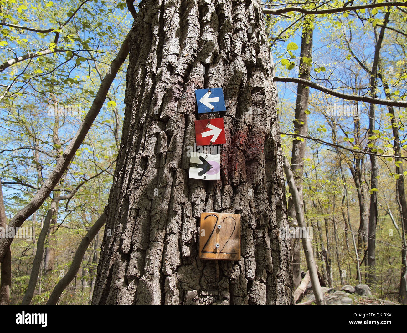 3 markers hi-res stock photography and images - Alamy