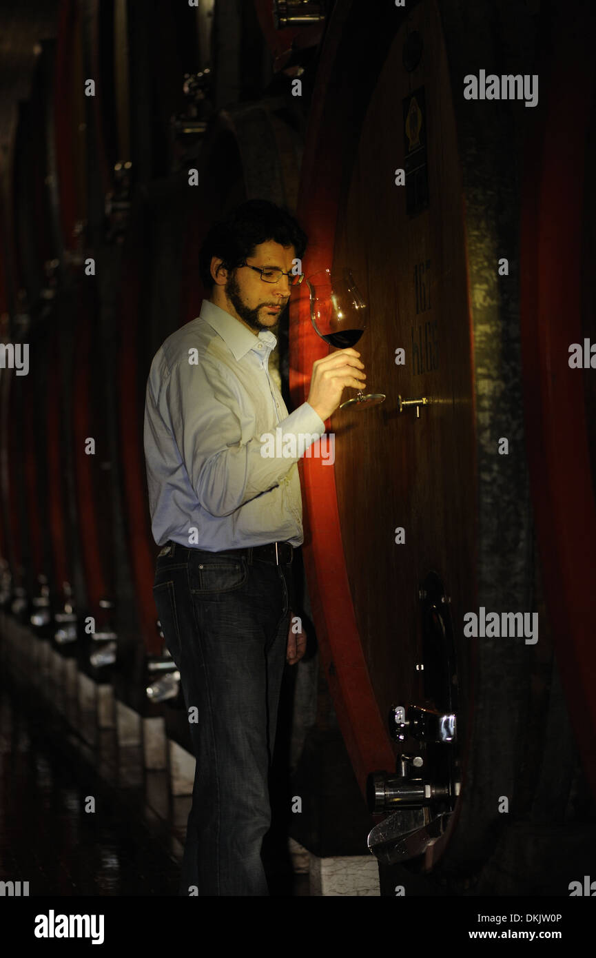 Italy Tuscany Amarone wine cellar, sommelier Stock Photo - Alamy