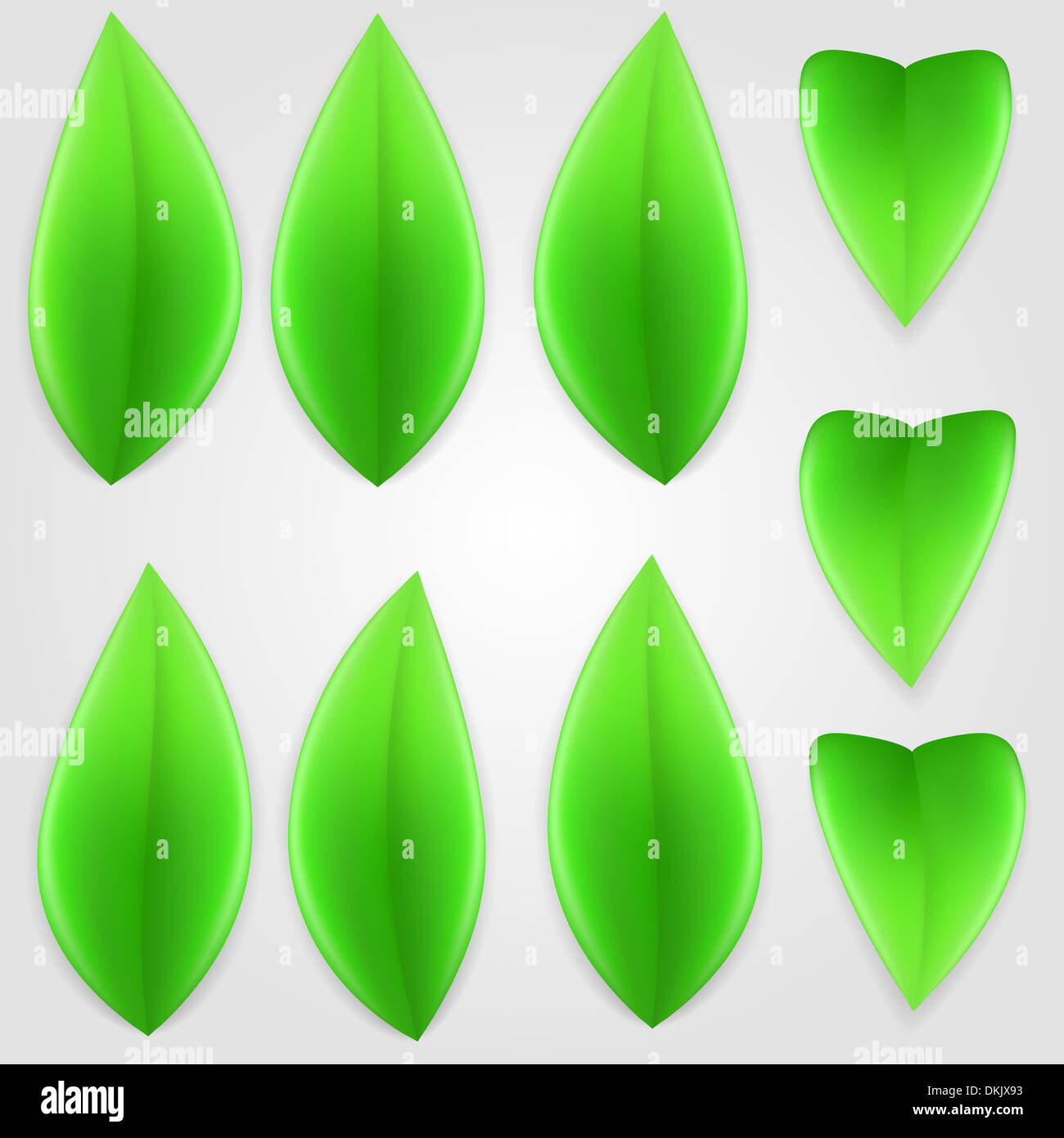 Set of green leaves. Elements of nature Stock Photo - Alamy
