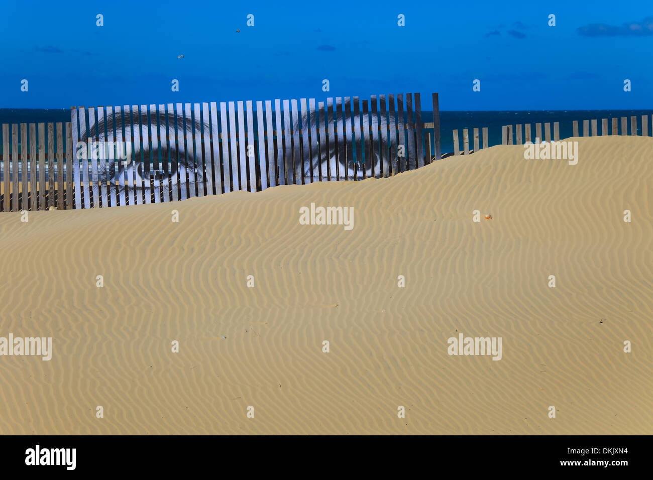 Superposed Color High Resolution Stock Photography and Images - Alamy