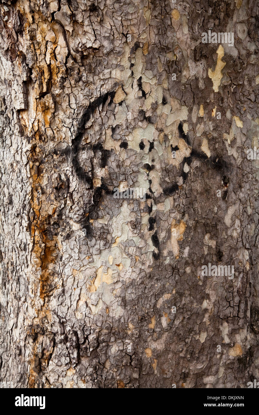 Graffiti on tree Stock Photo - Alamy