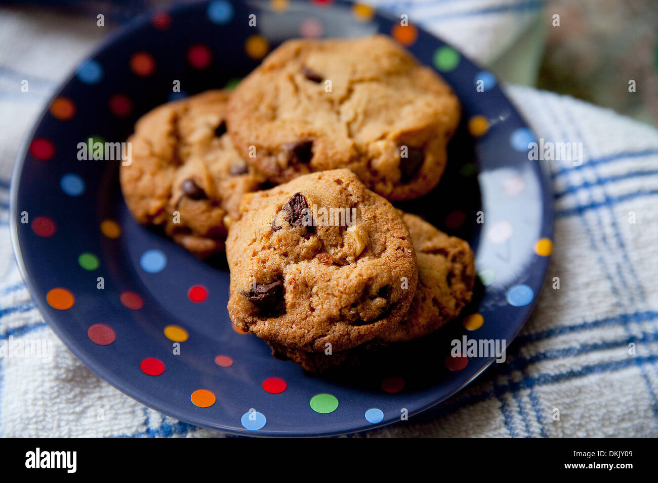 Homemade chocolate chip cookies on a fancy plate Stock Photo - Alamy