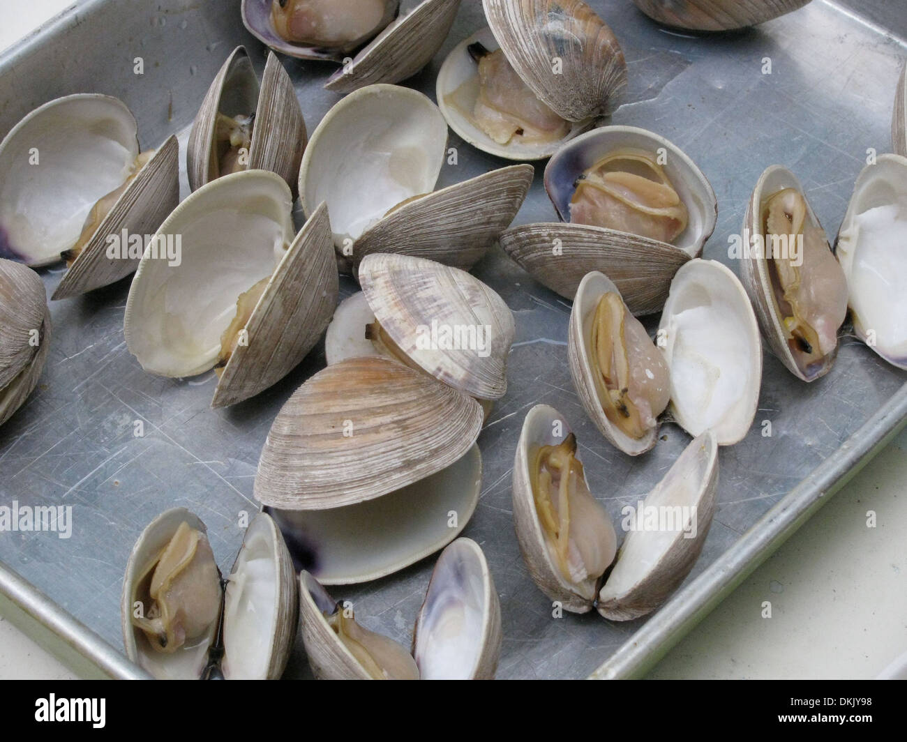 Hard shellfish hi-res stock photography and images - Alamy