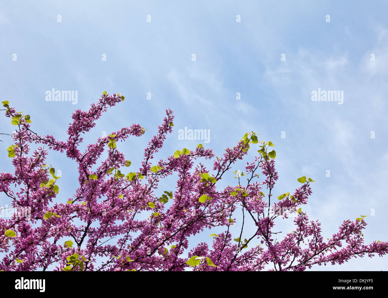 Lakes spring blue sky hi-res stock photography and images - Alamy
