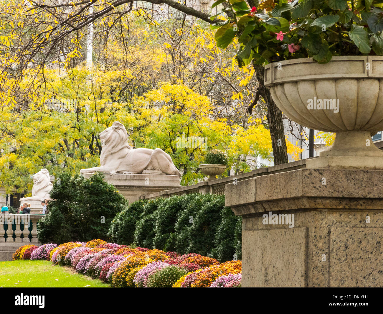 Lion Statues, Fortitude, New York Public Library, Main Branch, NYC ...