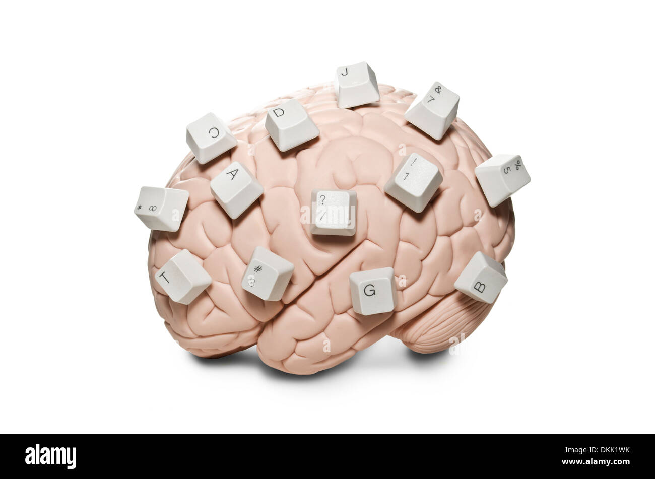 Brain with computer keys Stock Photo - Alamy