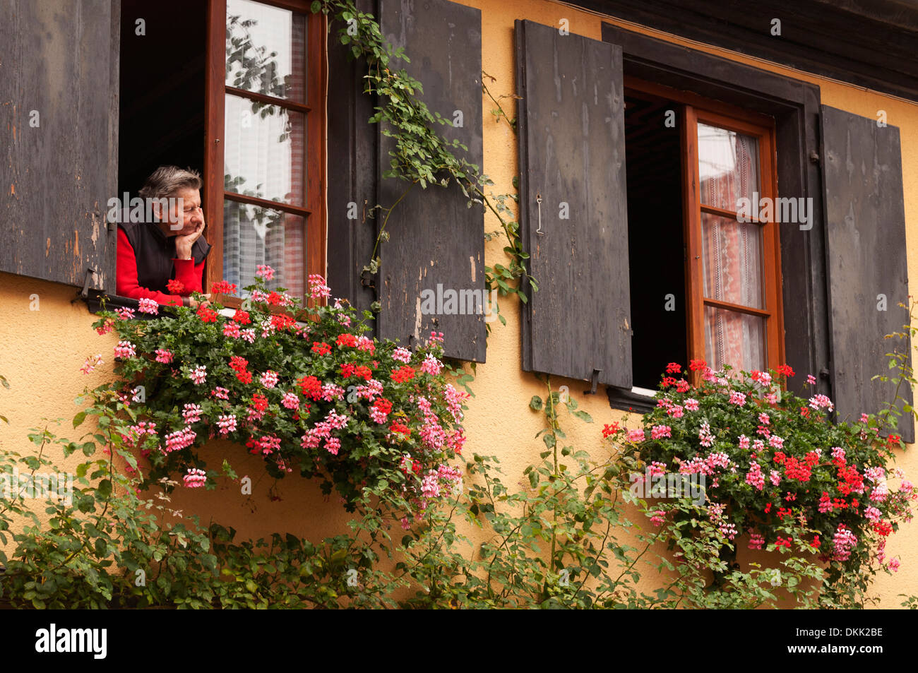 French window flowers hi-res stock photography and images - Alamy