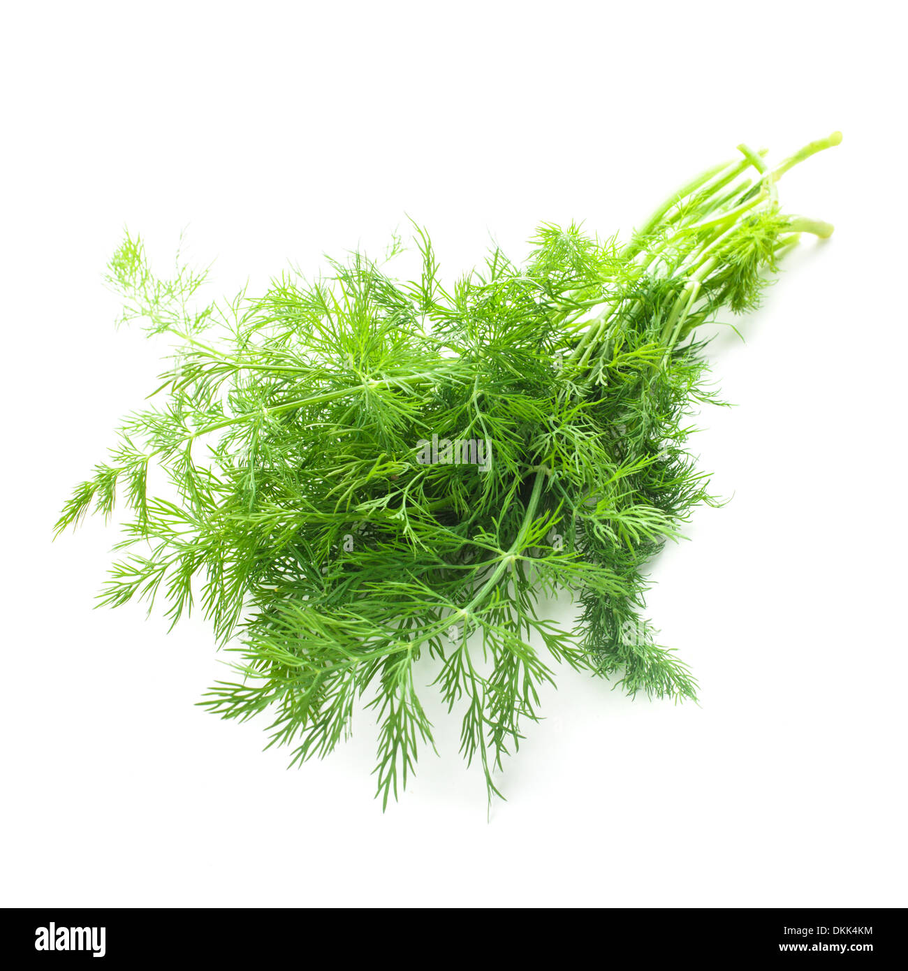 Fresh twigs of green dill isolated on white background Stock Photo - Alamy