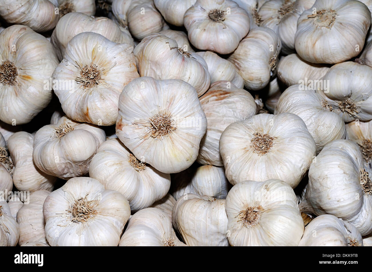 Bulbous texture hi-res stock photography and images - Alamy