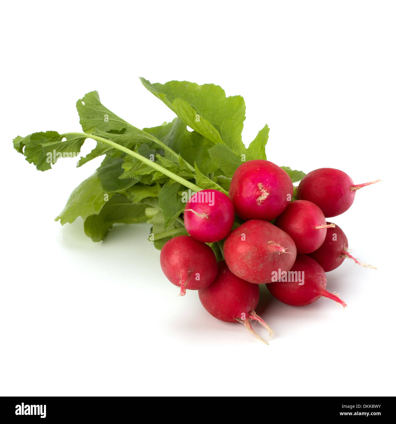 Small garden radish isolated on white background Stock Photo - Alamy