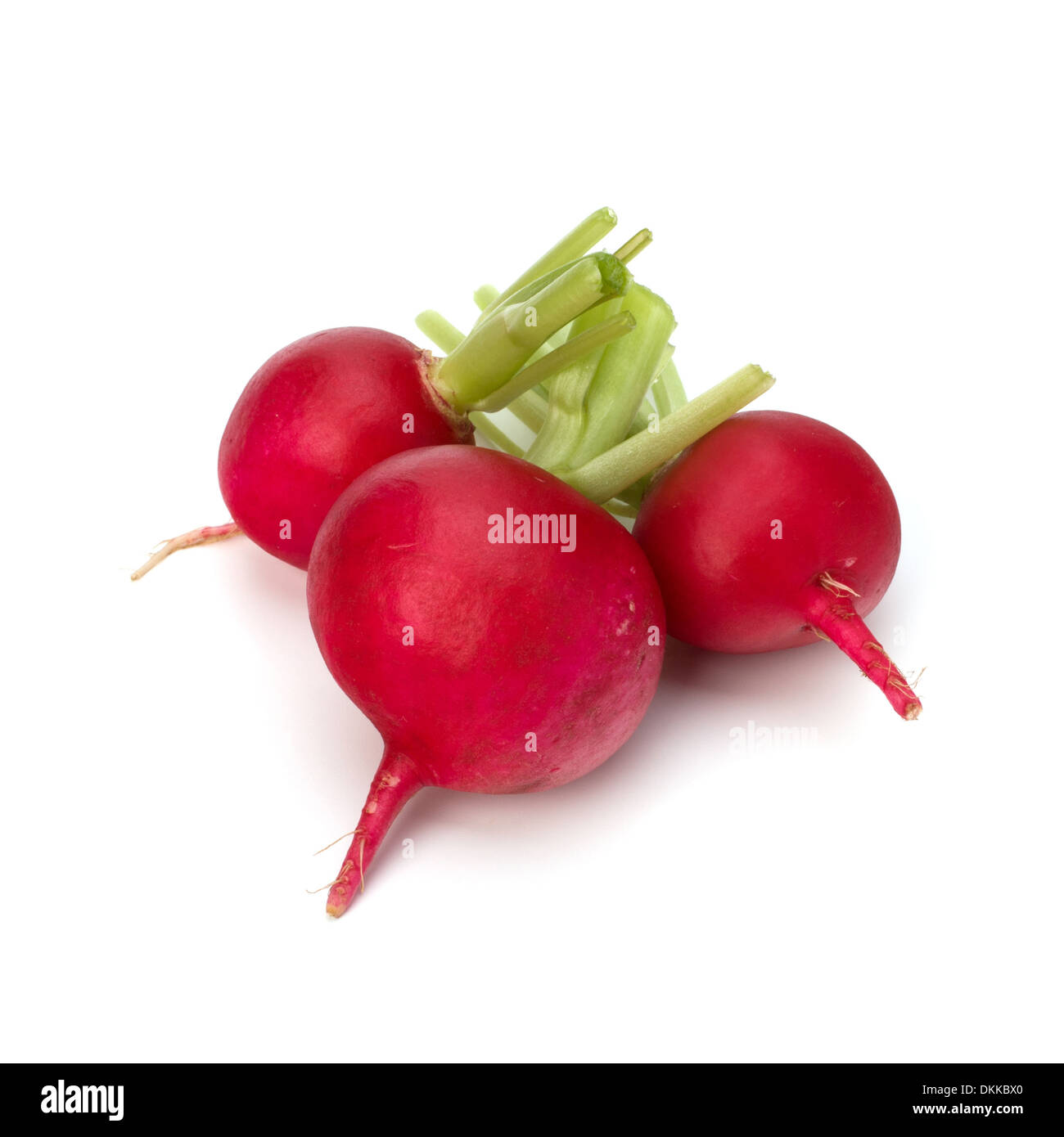 Small garden radish isolated on white background Stock Photo - Alamy