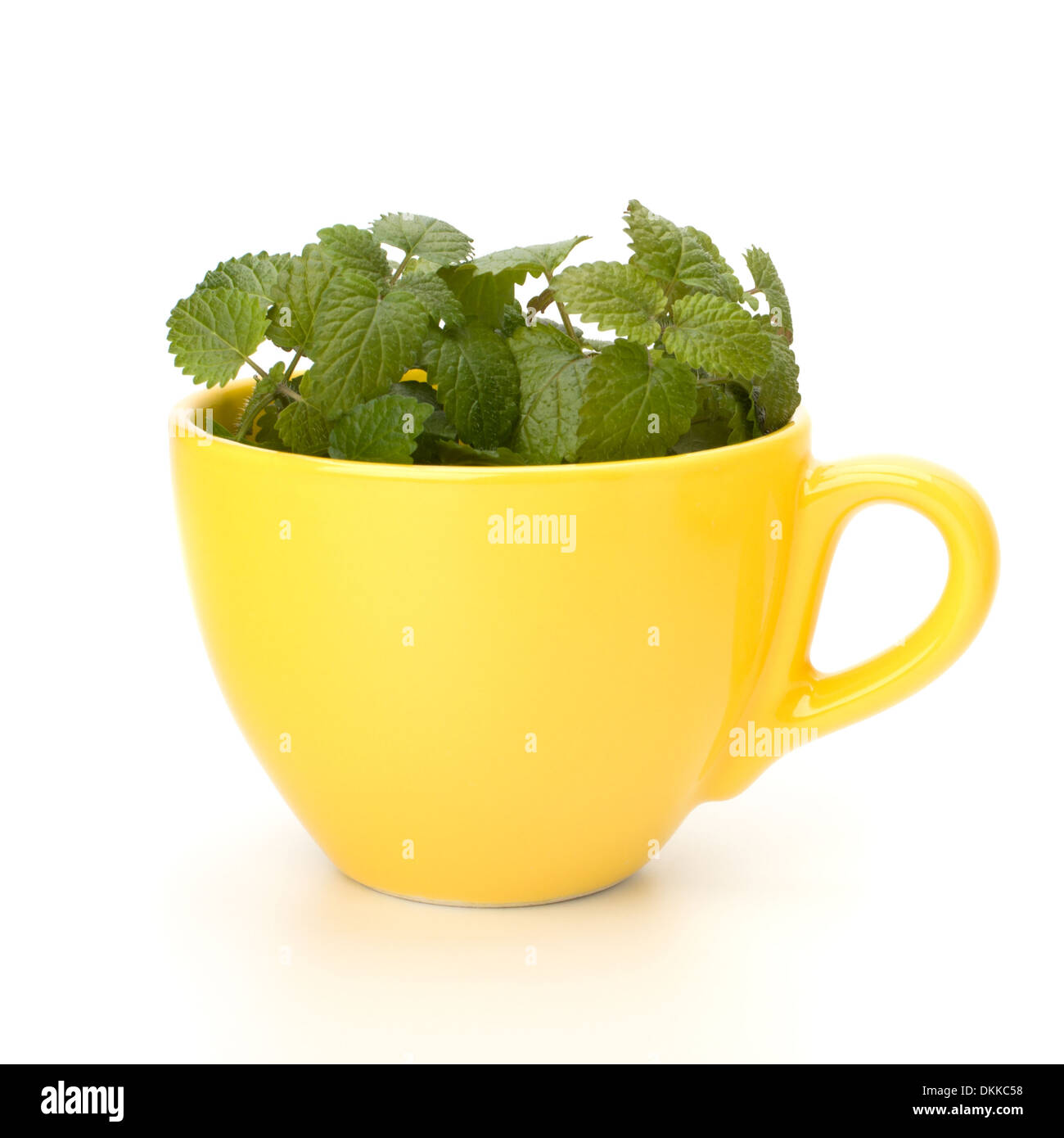 Herbal peppermint tea cup isolated on white background. Alternative ...