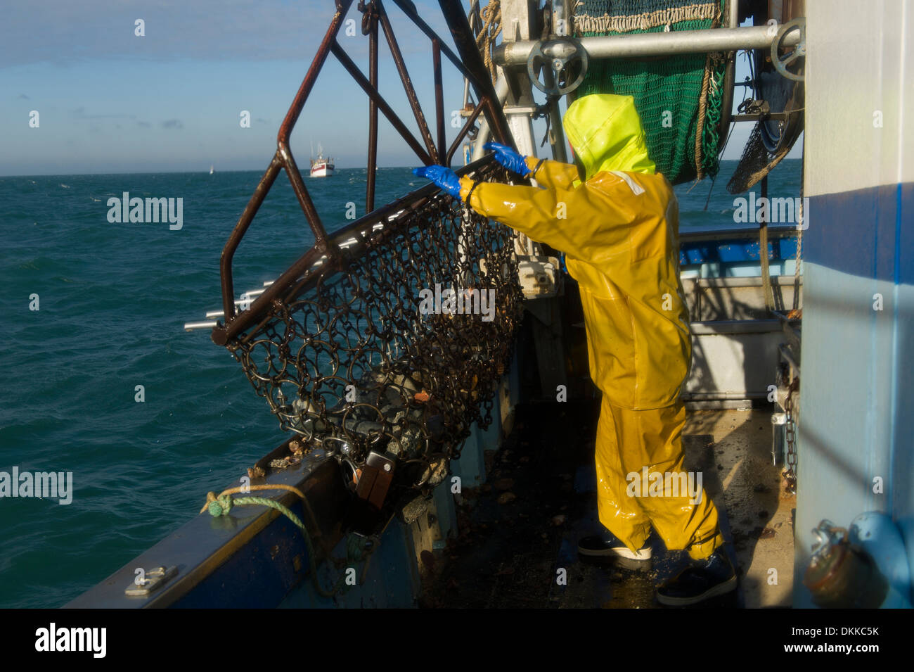 Scallop dredge hi-res stock photography and images - Alamy