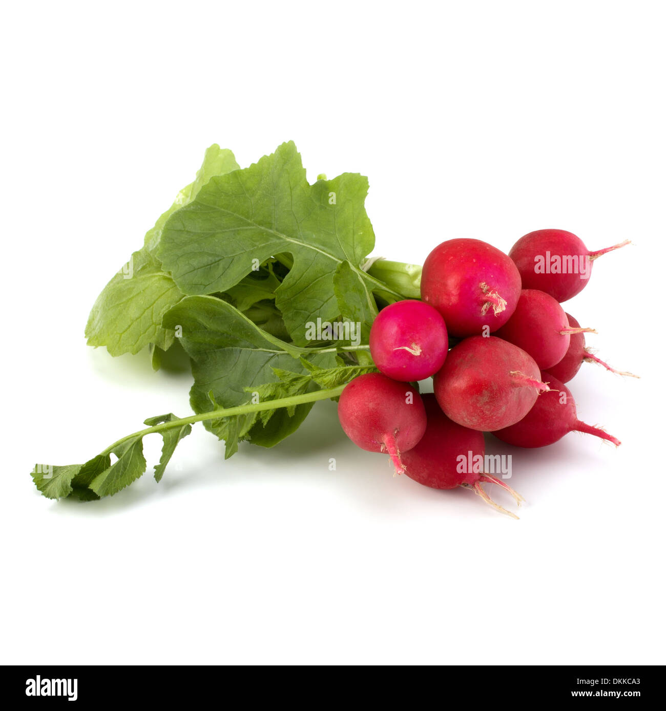 Small garden radish isolated on white background Stock Photo - Alamy