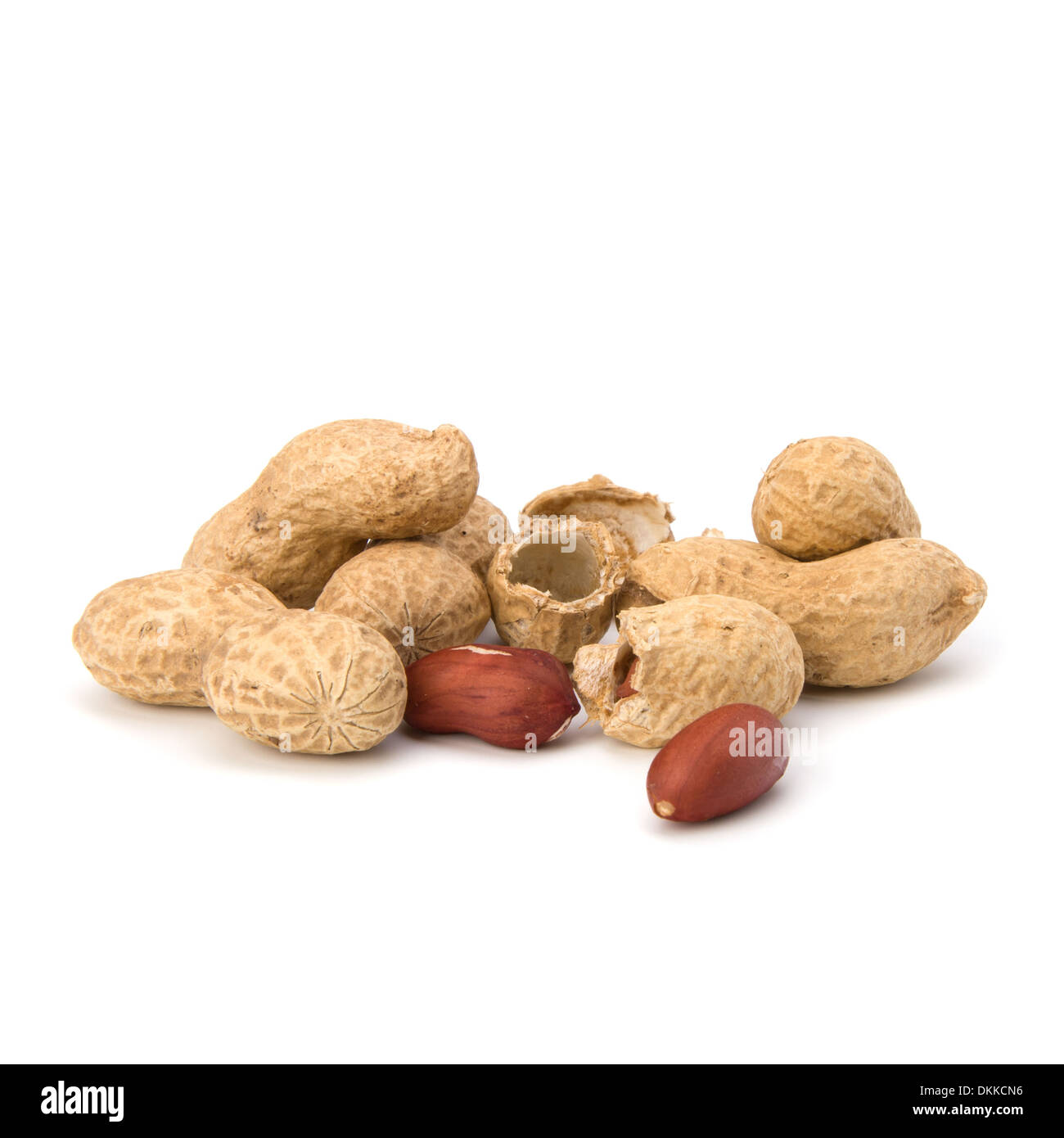 Peanut isolated on white background Stock Photo - Alamy