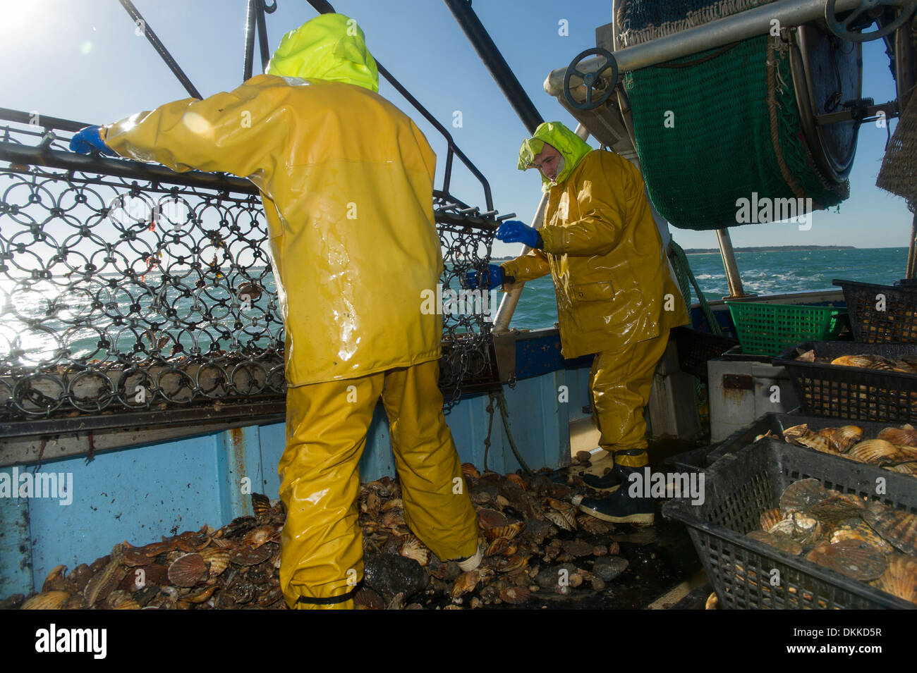 Scallop dredge hi-res stock photography and images - Alamy