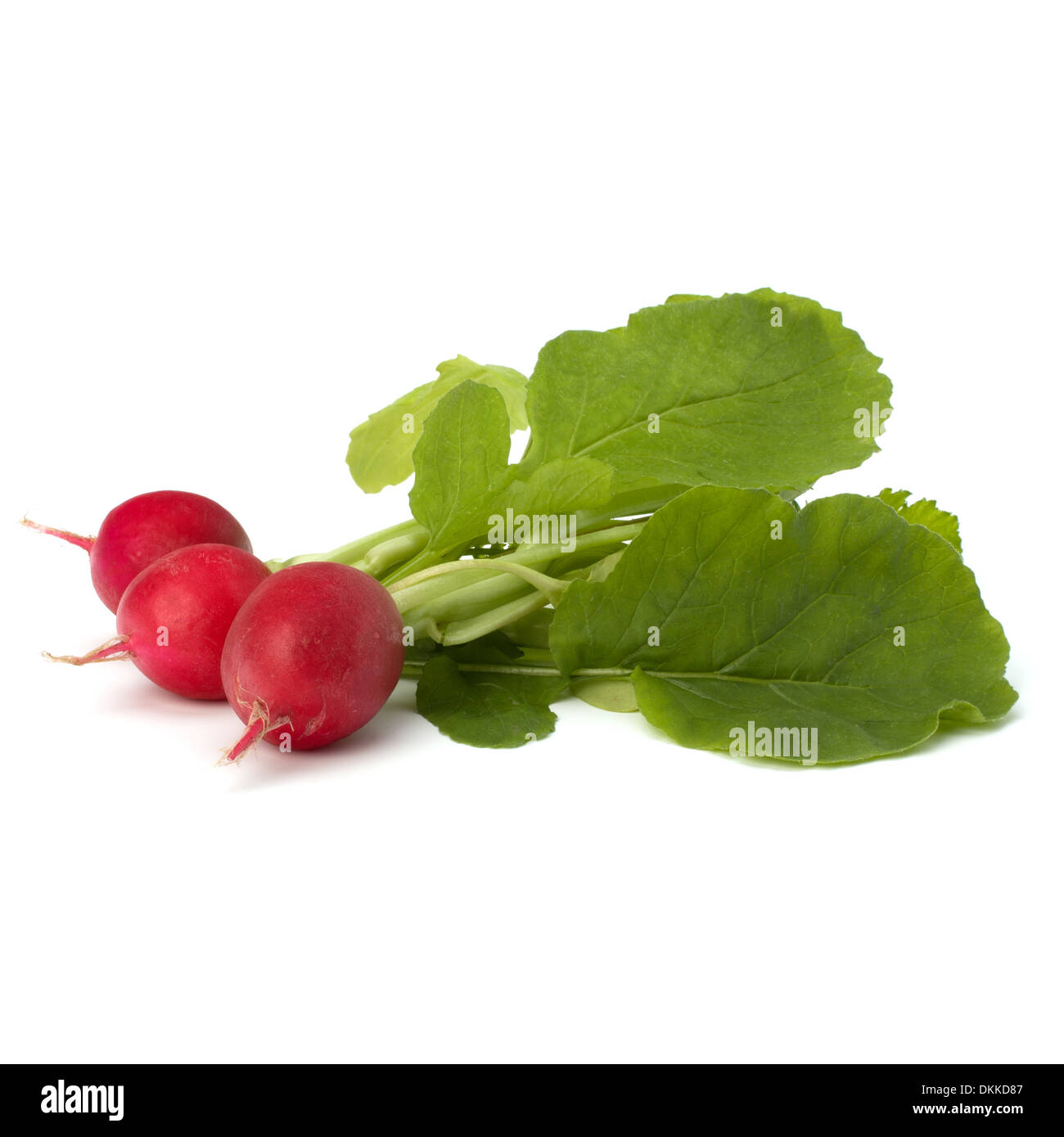 Small garden radish isolated on white background Stock Photo - Alamy