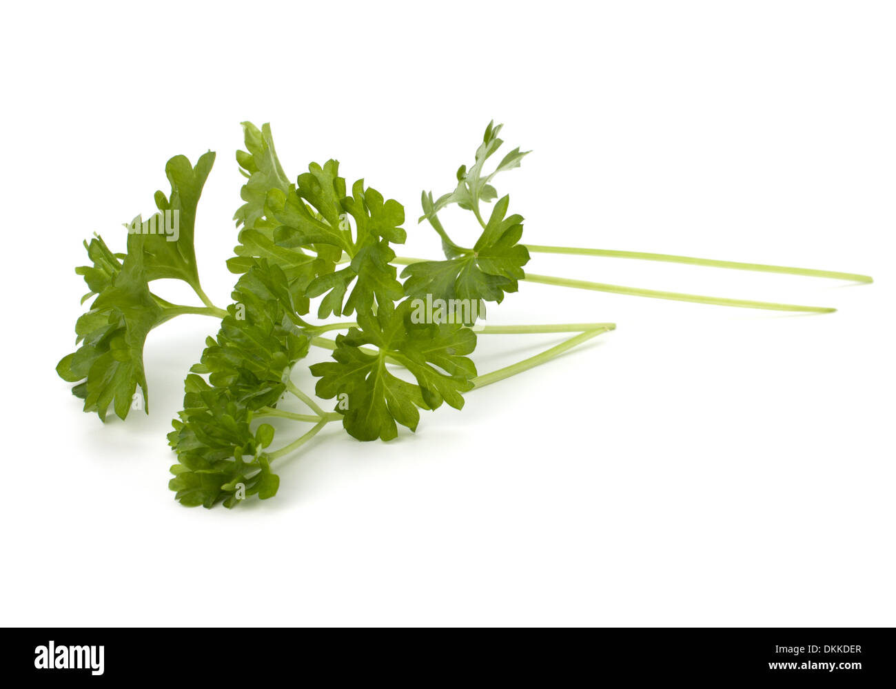 parsley isolated on white background Stock Photo - Alamy
