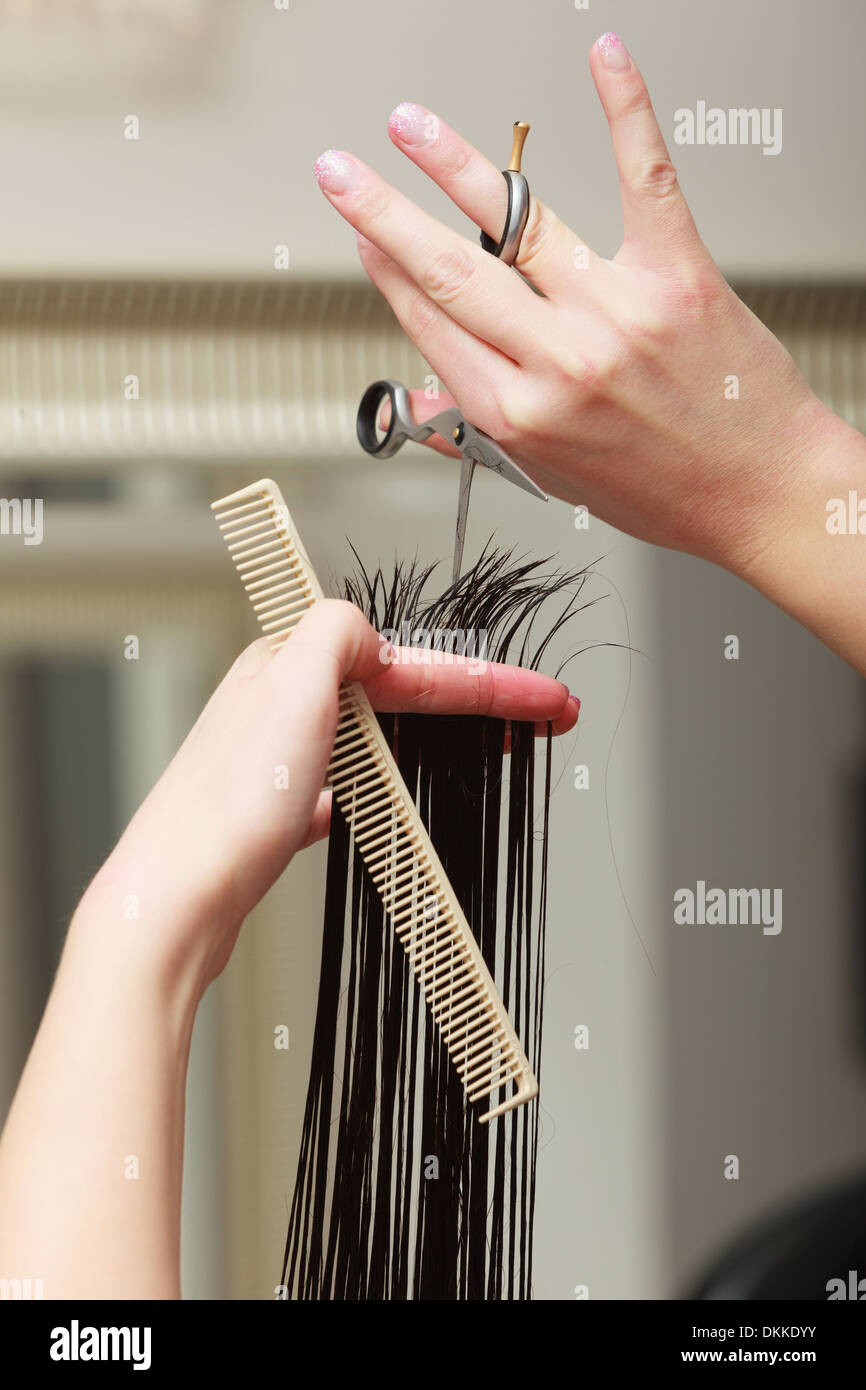 Hairstylist with comb and scissors cutting hair of female client. Woman ...