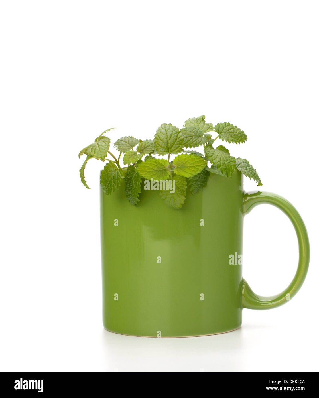 Herbal peppermint tea cup isolated on white background. Alternative ...