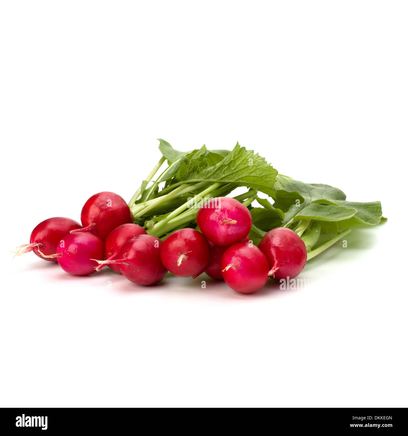 Small garden radish isolated on white background Stock Photo - Alamy