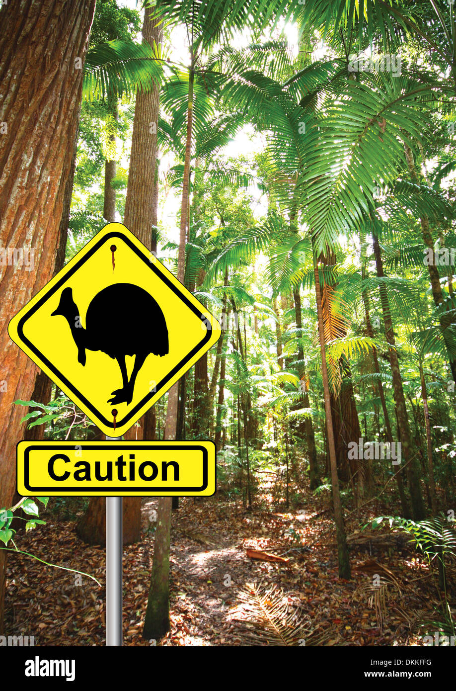 Cassowary sign hi-res stock photography and images - Alamy