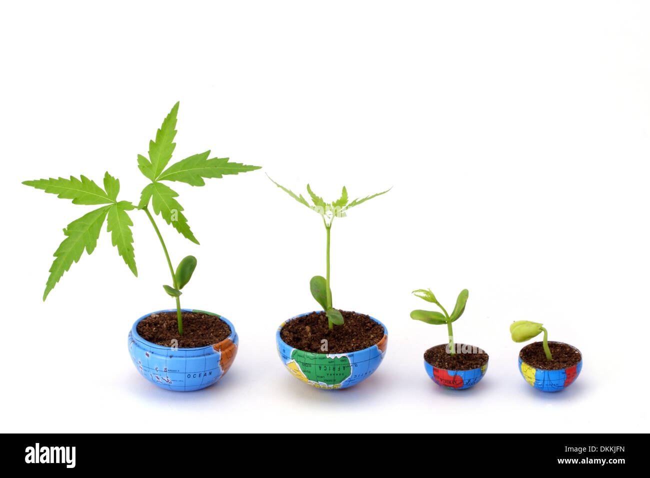 Stages Of Vegetable Plant Growth