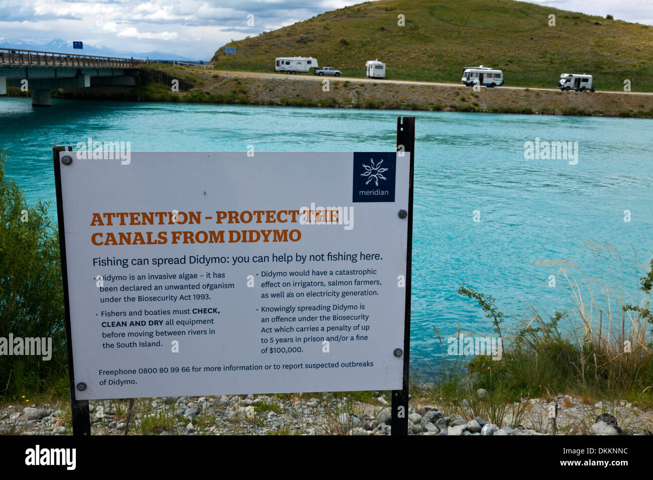 Didymosphenia geminata hi-res stock photography and images - Alamy