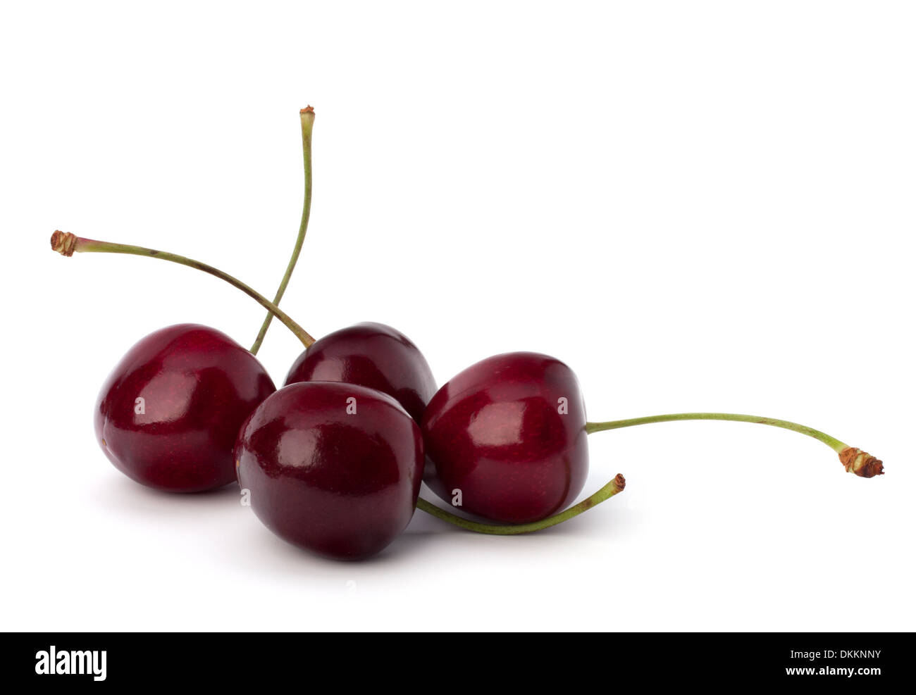 Cherry isolated on white background Stock Photo - Alamy