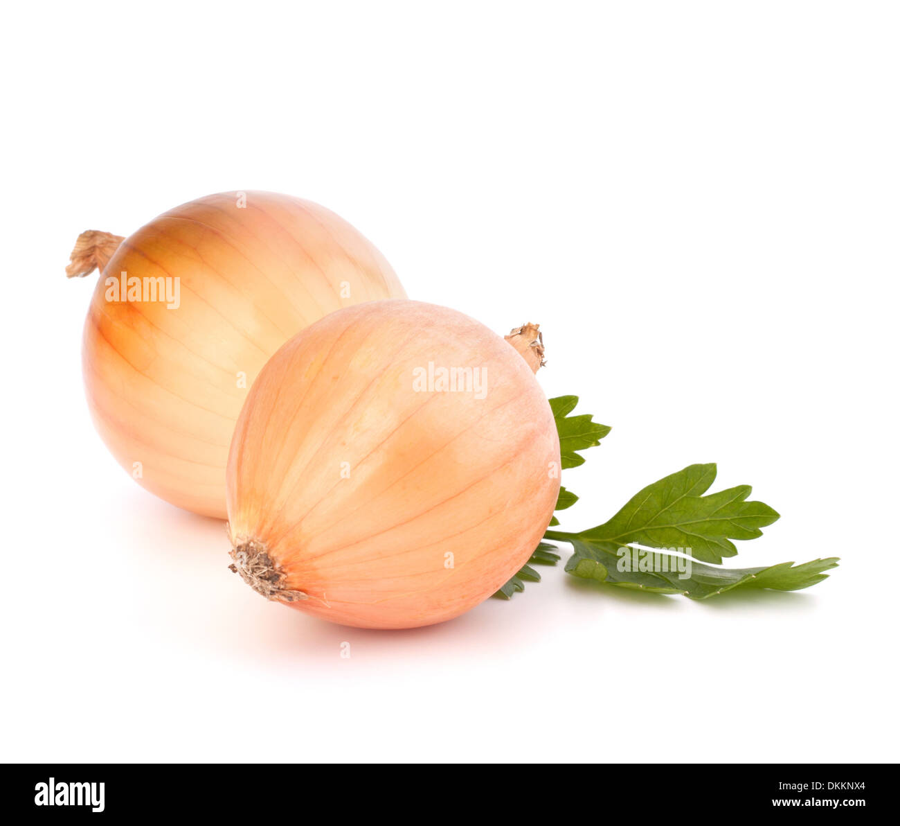 Onion isolated on white background Stock Photo - Alamy