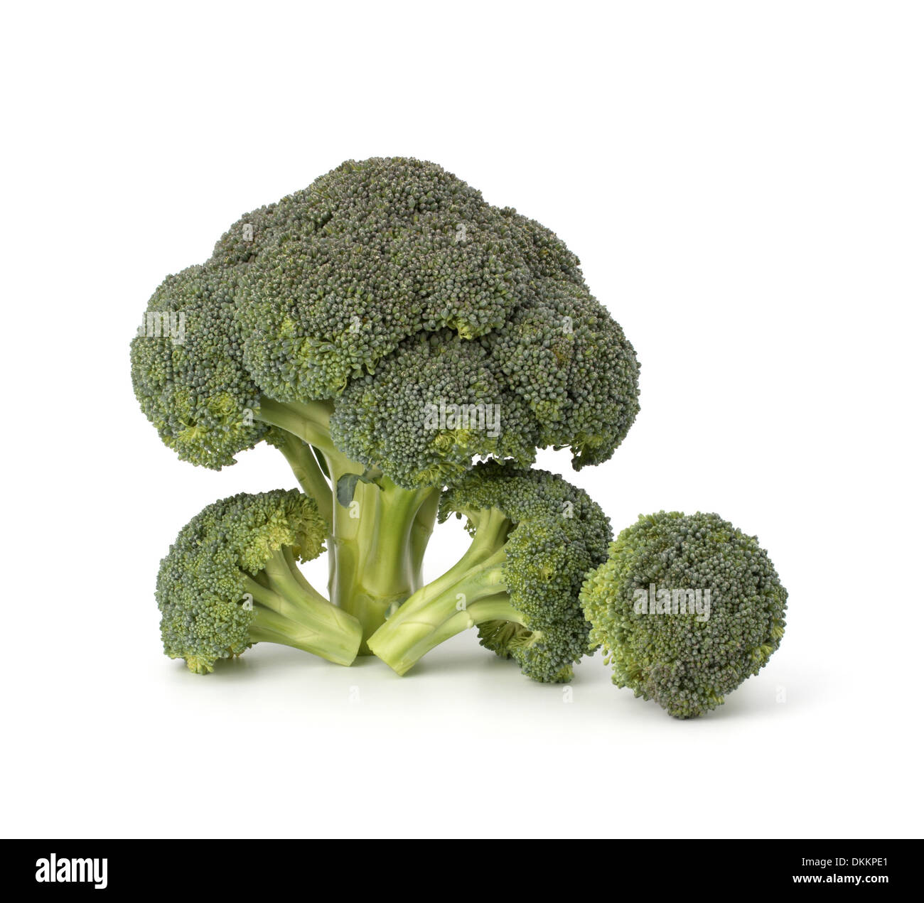 Broccoli vegetable isolated on white background Stock Photo - Alamy