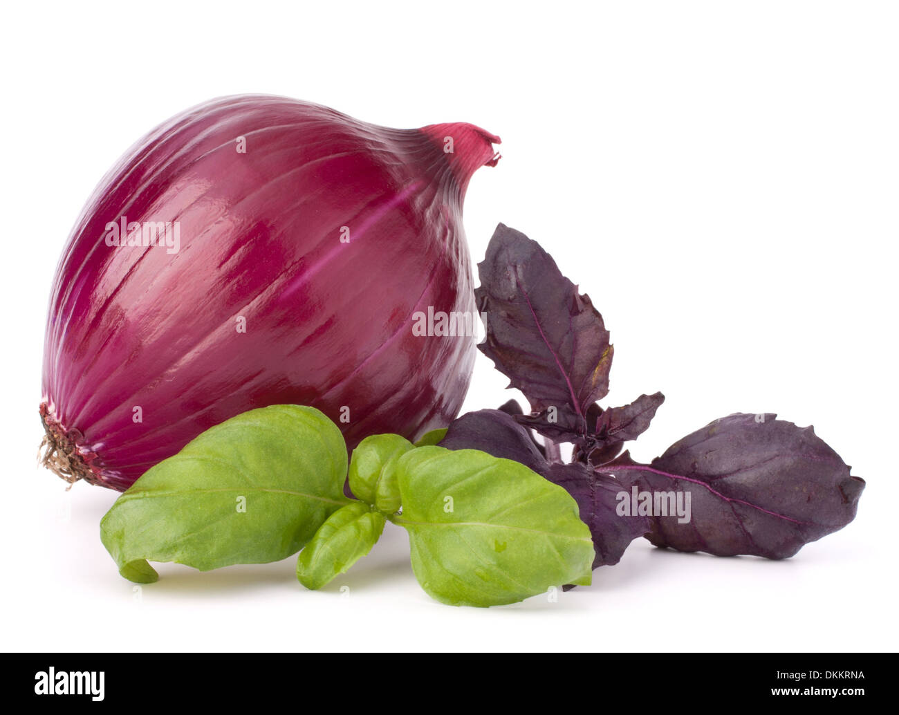 Onion and basil leaves still life isolated on white background cutout ...