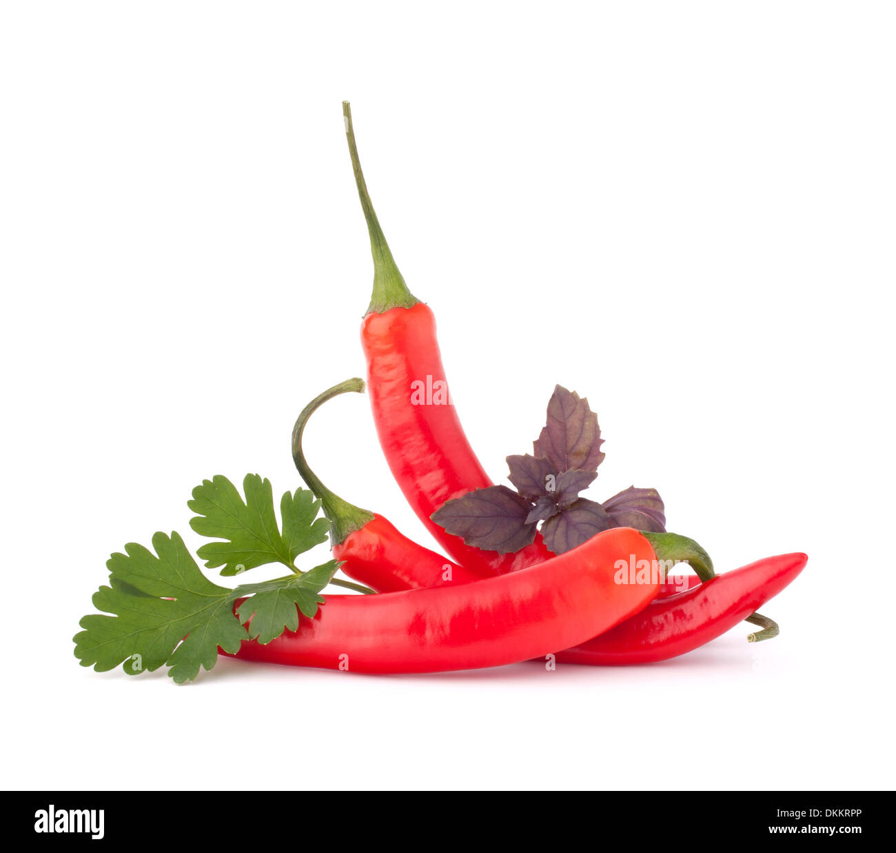 Hot red chili or chilli pepper and aromatic herbs leaves still life ...