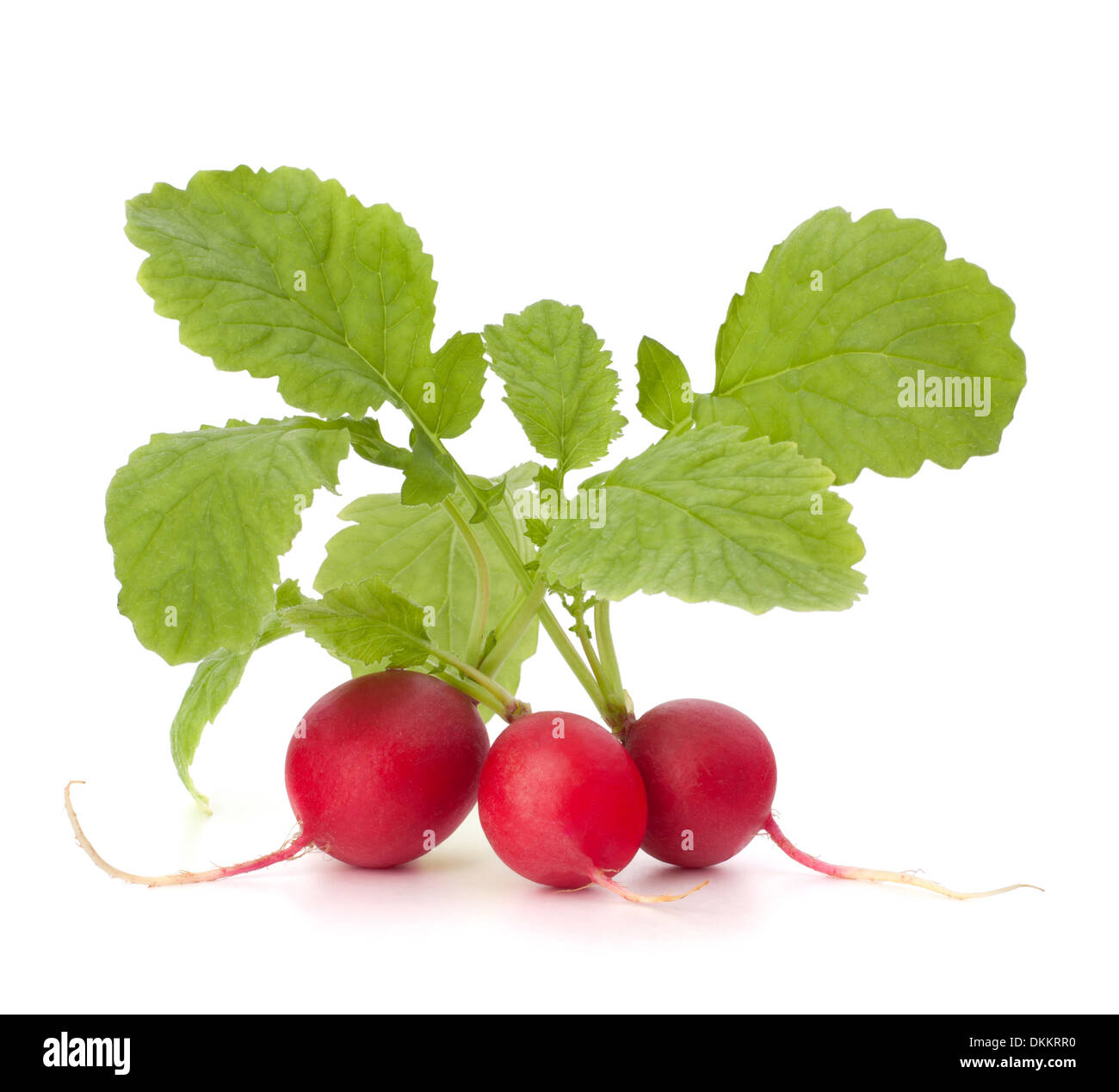 Small garden radish with leaves isolated on white background cutout ...