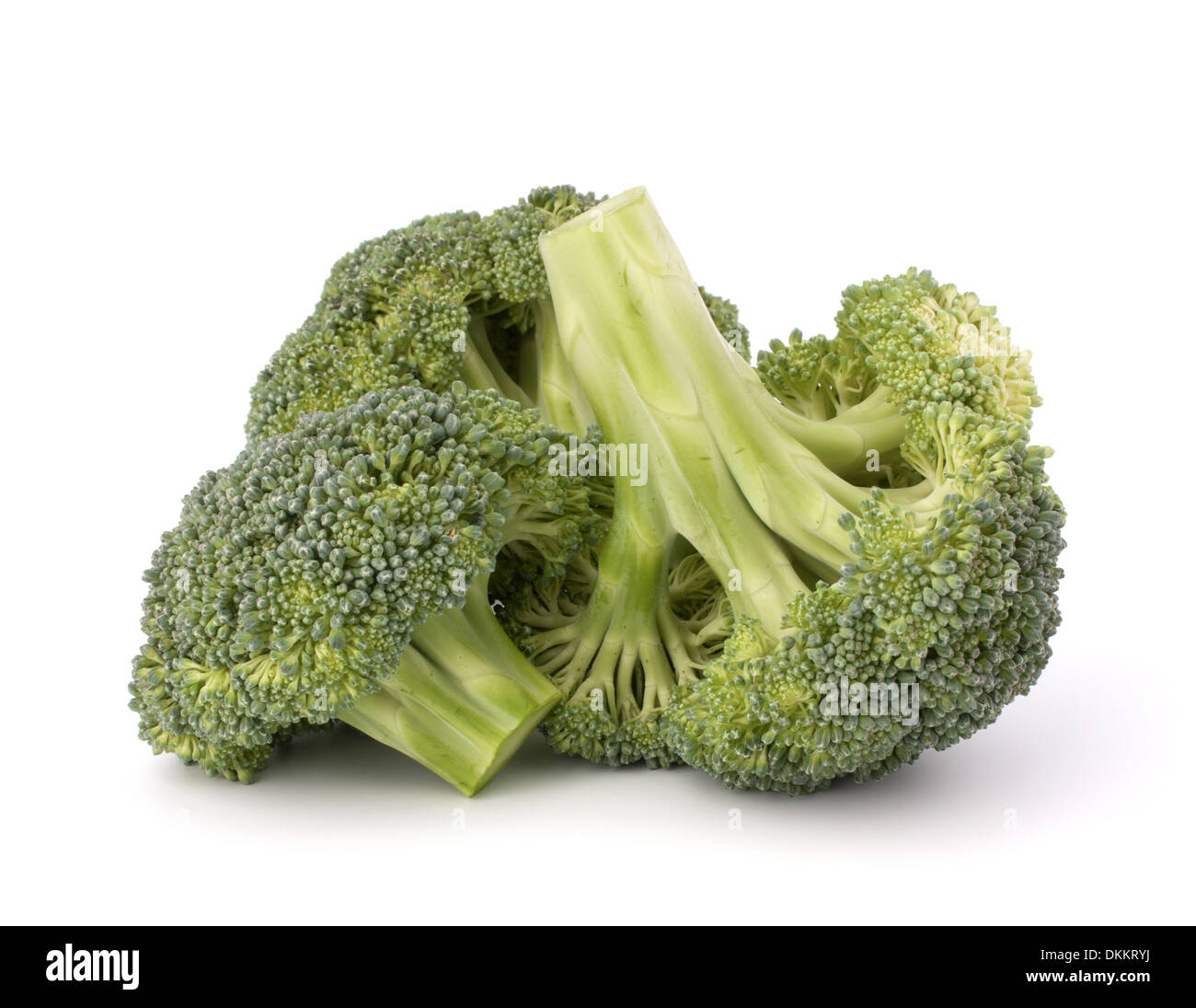 Broccoli vegetable isolated on white background Stock Photo - Alamy