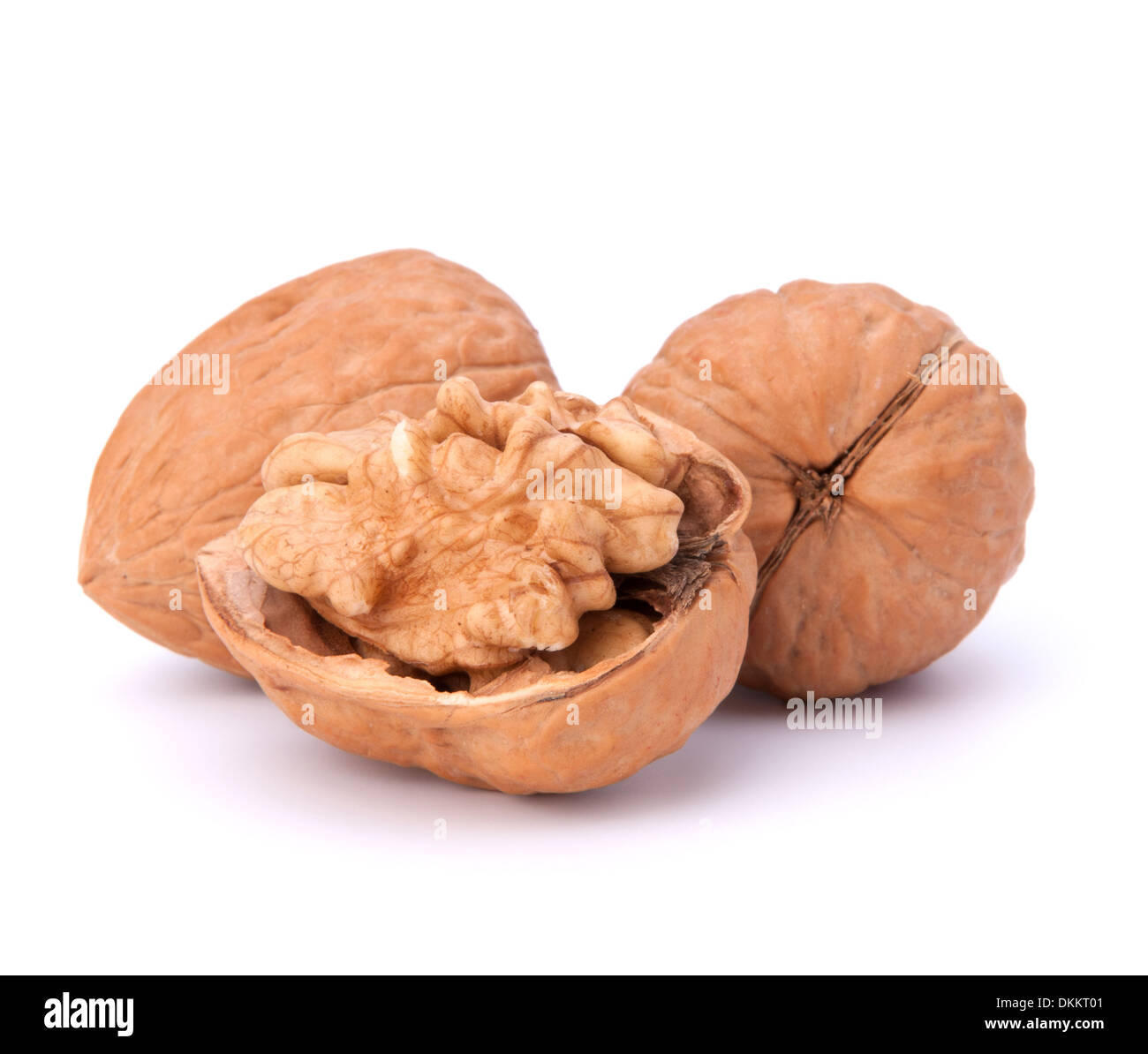 Circassian walnut isolated on white background Stock Photo - Alamy
