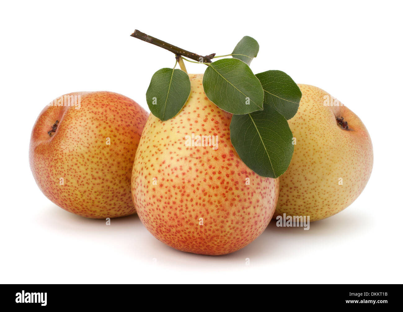 Pear fruits isolated on white background Stock Photo - Alamy