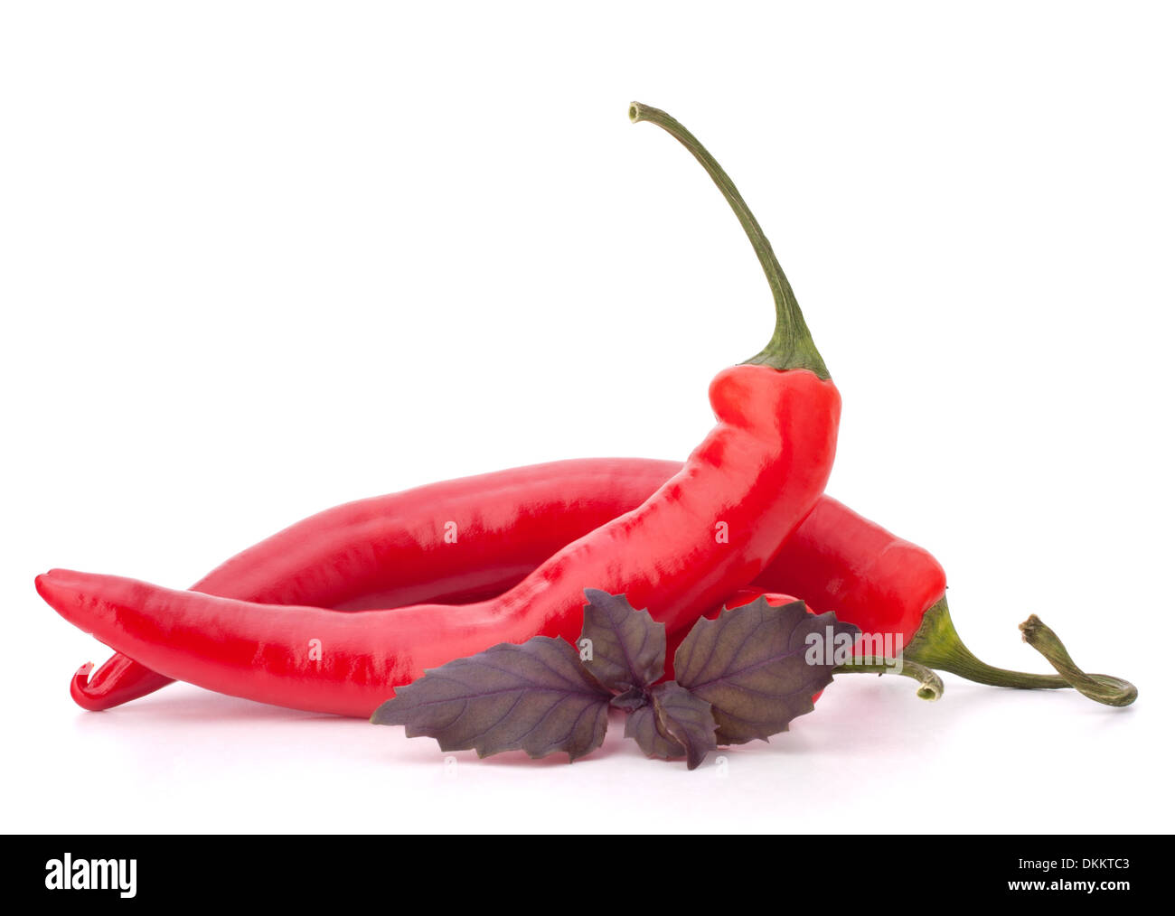 Hot red chili or chilli pepper and basil leaves still life isolated on ...