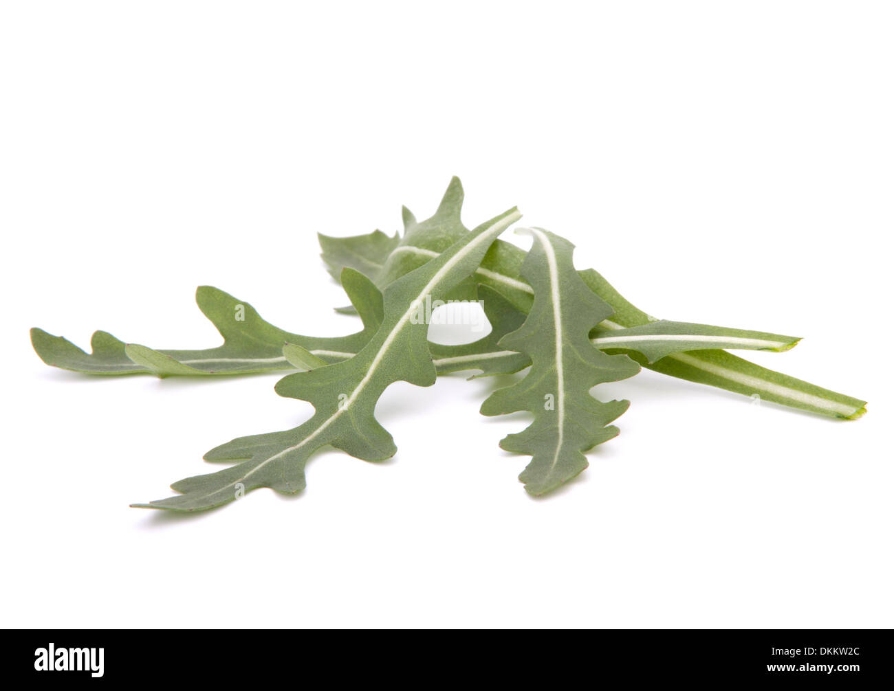 Sweet rucola salad or rocket lettuce leaves isolated on white ...