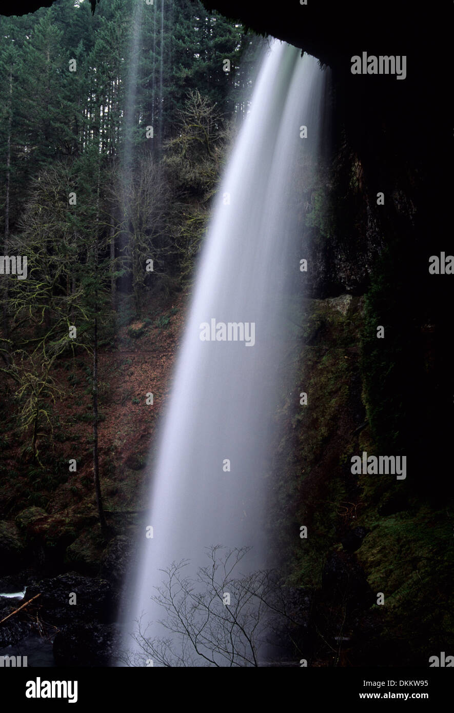 North Falls, Silver Falls State Park, Oregon Stock Photo - Alamy